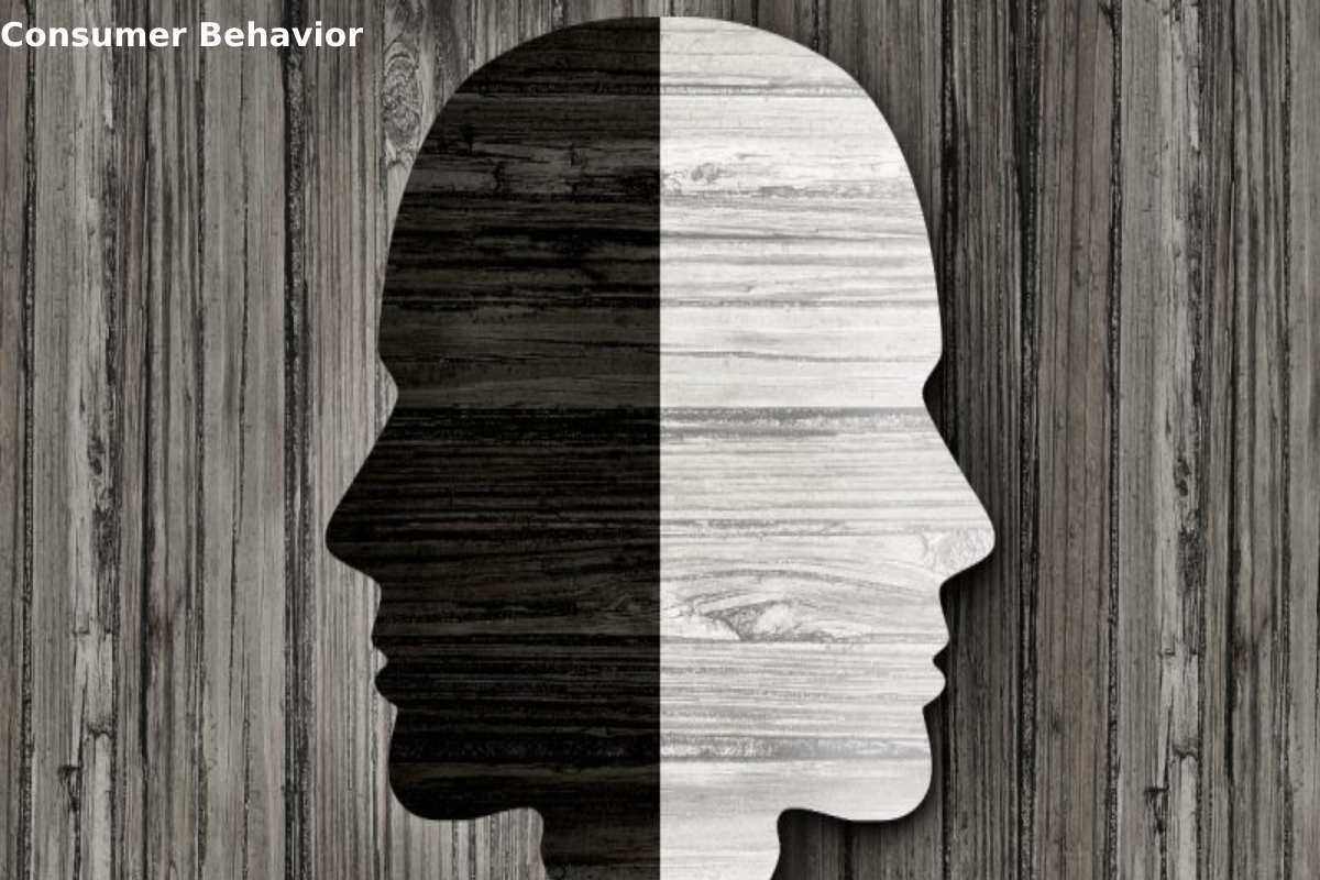What is the Consumer Behavior? - Important, Factors, and More