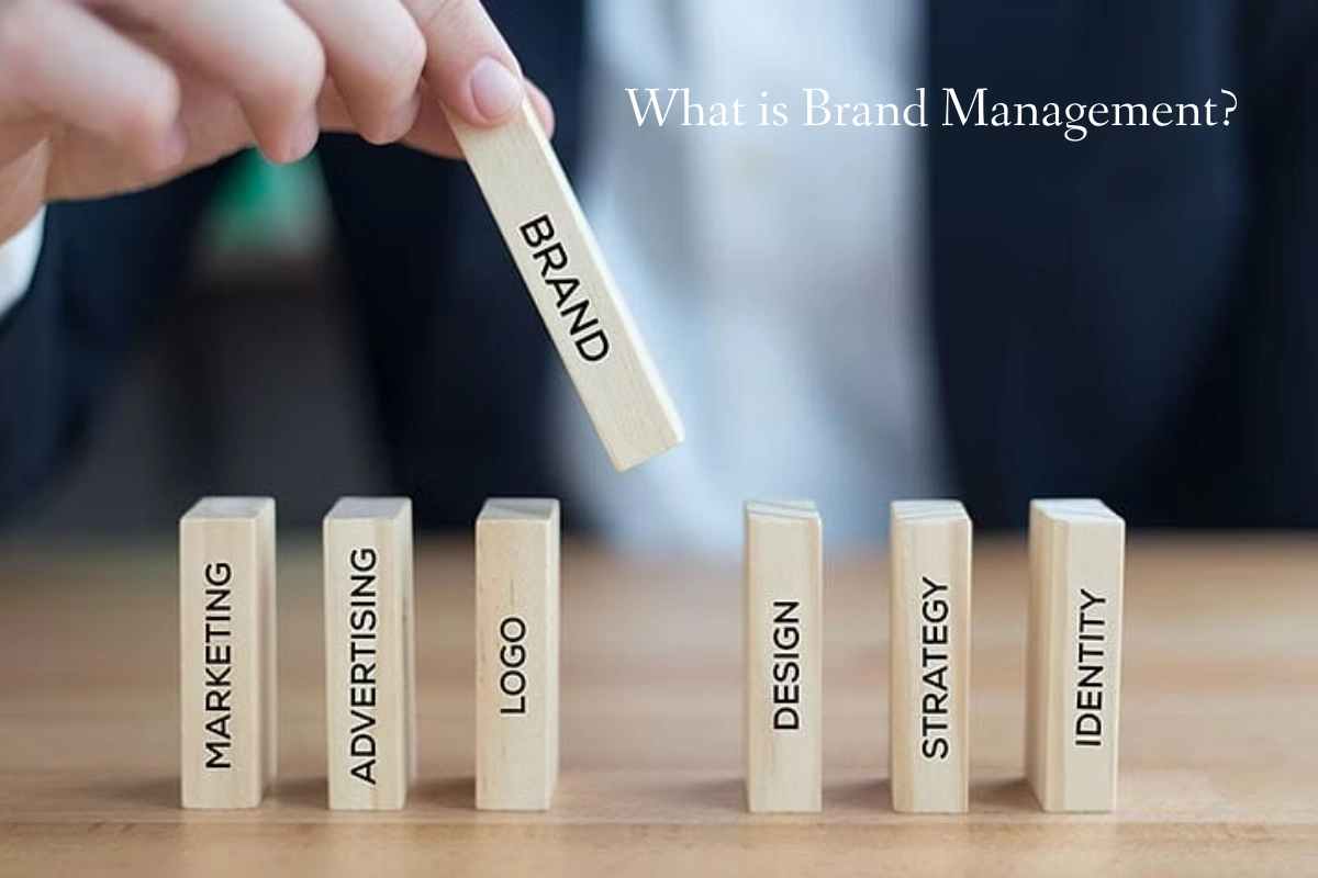 What is Brand Management? – Characteristics, Types, and More